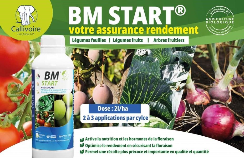 Biostimulant foliaire BM START 1 litre – Légumes et arbres fruitiers ...