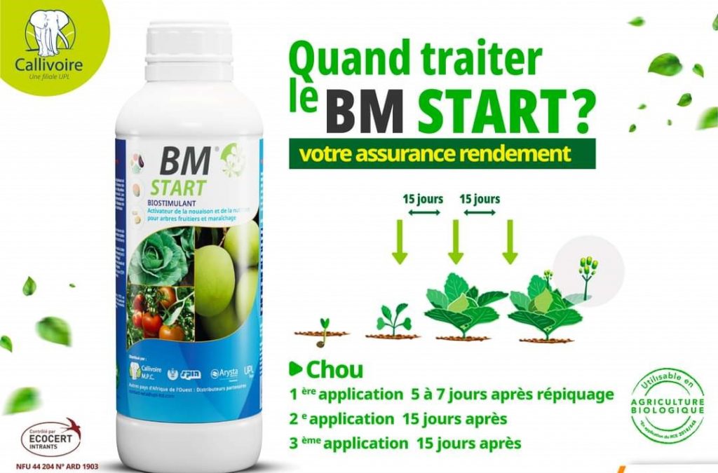 Biostimulant foliaire BM START 1 litre – Chou – TmBusiness