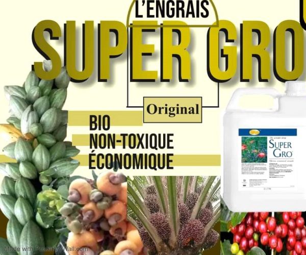 Engrais foliaire 100% Bio SUPER GRO 5 litres – Cultures d’exportation ...