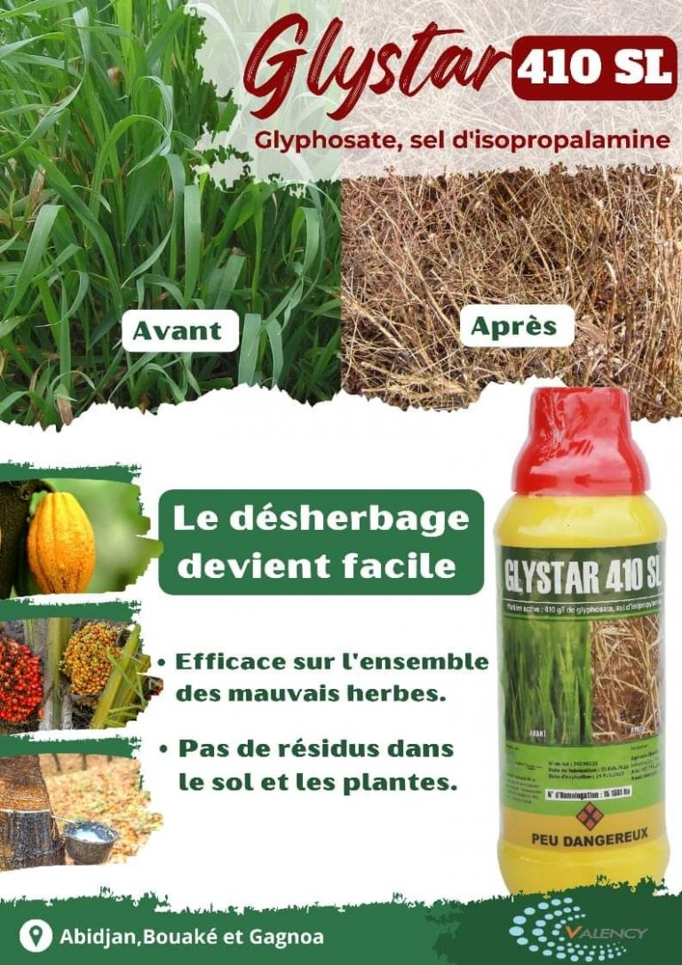 Herbicide total GLYSTAR 410 SL 1 litre – Toutes les cultures – TmBusiness