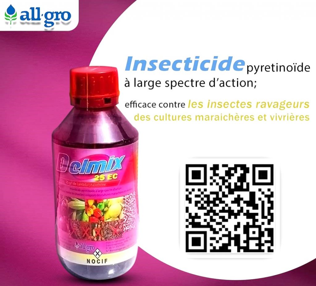 Insecticide DELMIX 25 EC 250 ml – Cultures maraichères et vivrières ...