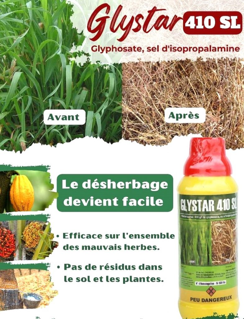 Herbicide total GLYSTAR 410 SL 1 litre – Cacao, palmier à huile et ...