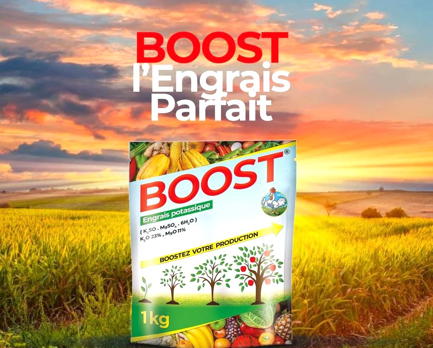 Engrais granulé potassique BOOST 1 kg – Cacao – TmBusiness