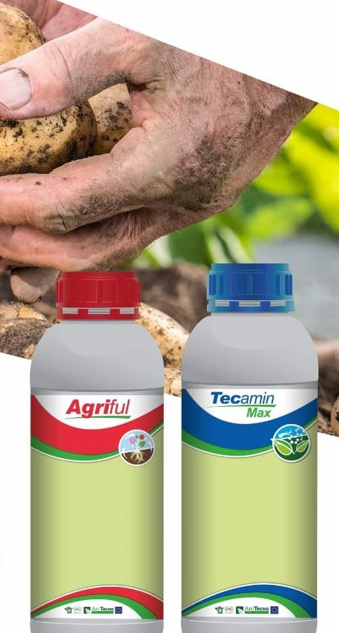 Engrais foliaire organique AGRIFUL 1 litre – Laitue – TmBusiness