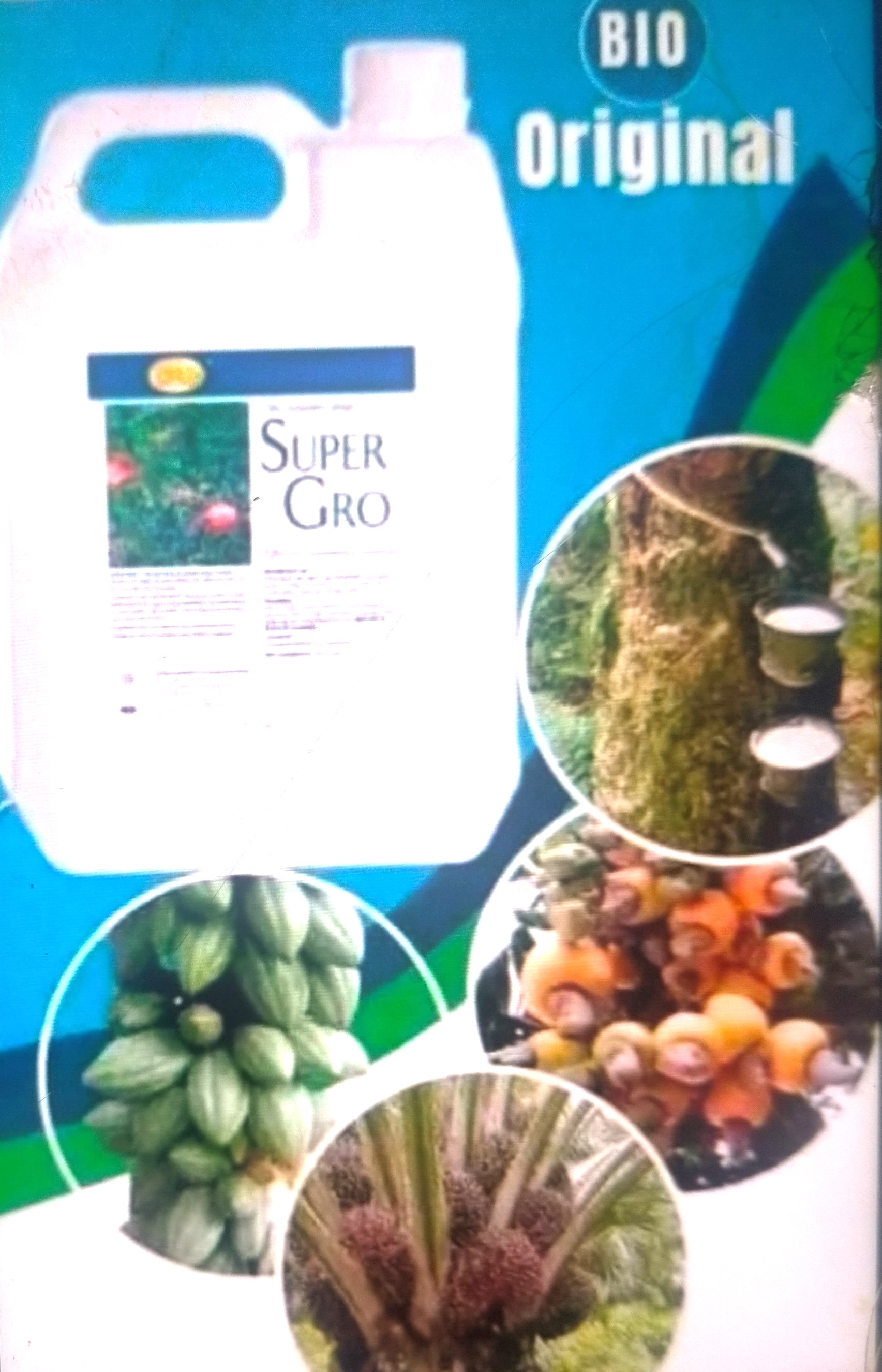 Engrais foliaire 100% Bio SUPER GRO 5 litres – Cultures pérennes – TmBusiness