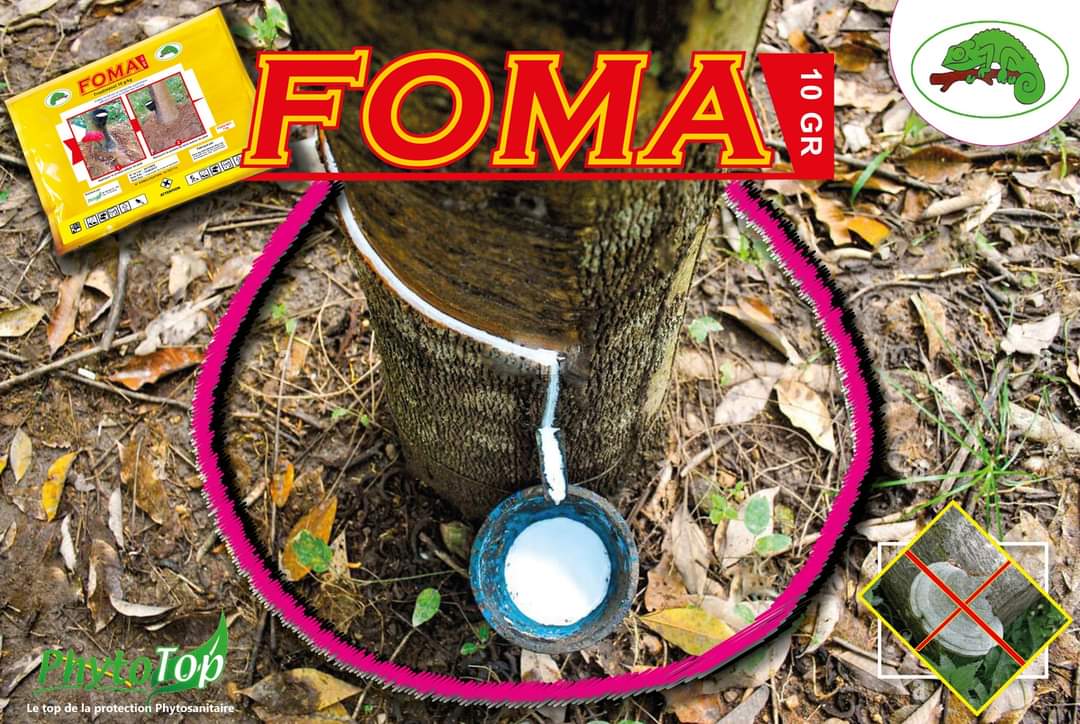 Fongicide granulé FOMA 10 GR 1 kg – Hévéa – TmBusiness