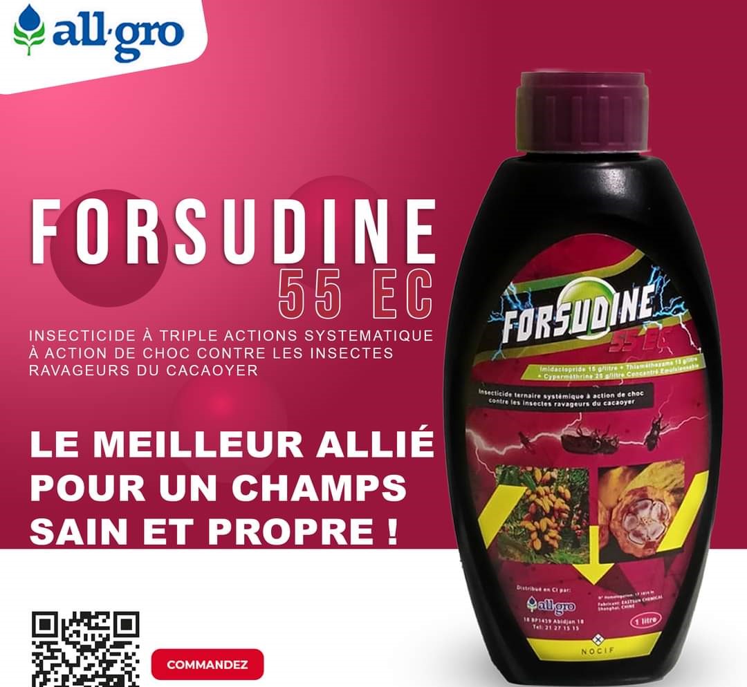 Insecticide liquide FORSUDINE 55 EC 1 litre – Cacao – TmBusiness