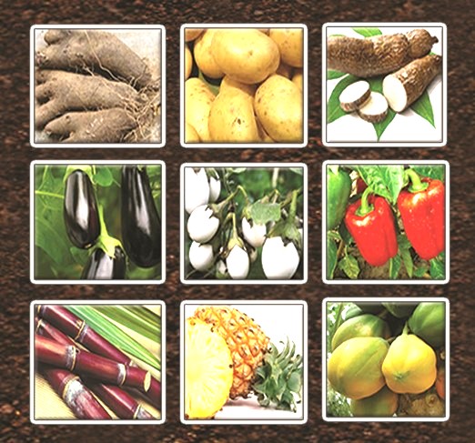 Engrais foliaire et racinaire 100% Bio BIODEPOSIT ELIXIR 12 ml ...