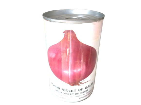 Semence d’OIGNON VIOLET DE GALMI 100 gr – TmBusiness