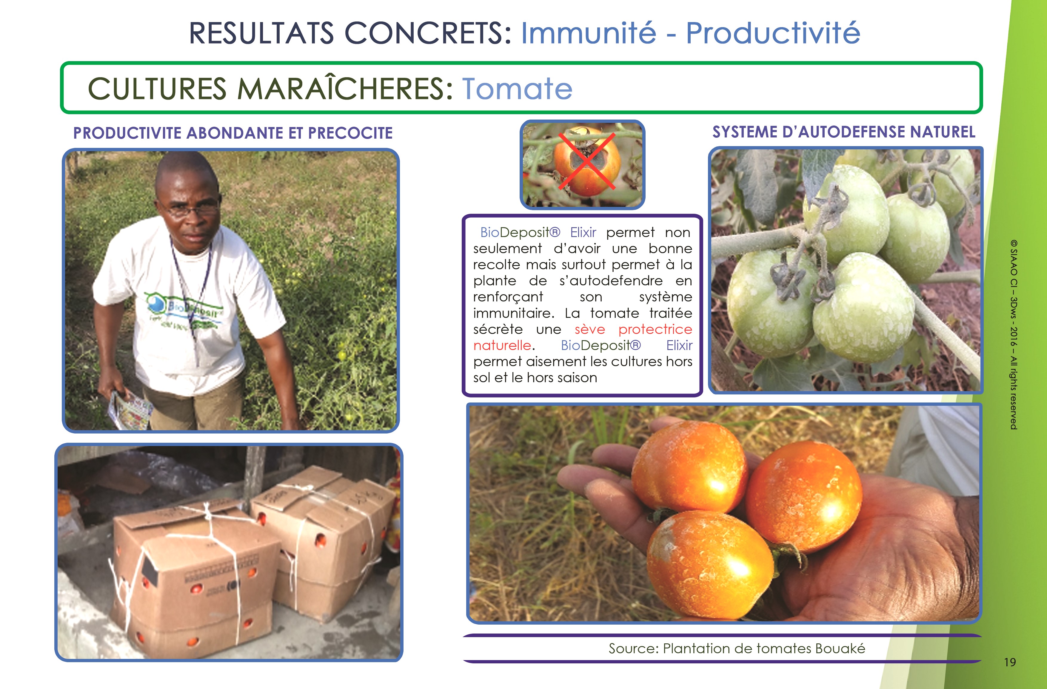 Engrais foliaire et racinaire 100% Bio BIODEPOSIT ELIXIR 12 ml – Tomate ...