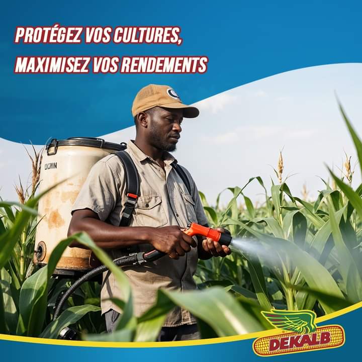 Herbicide liquide ROUNDUP TURBO 450 SL 1 litre – Maïs et autres ...