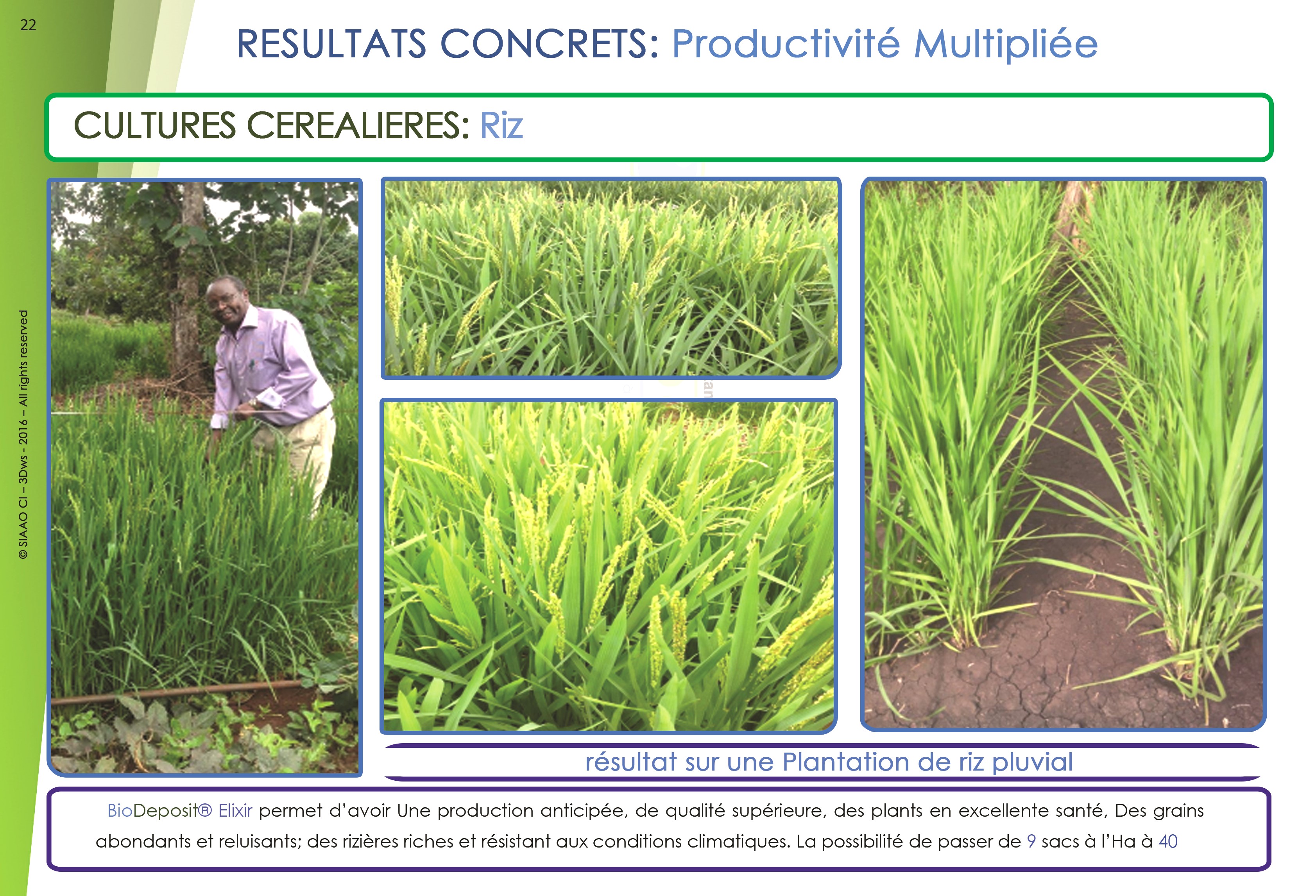 Engrais foliaire et racinaire 100% Bio BIODEPOSIT ELIXIR 12 ml – Tomate ...