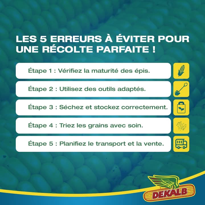 Insecticide liquide BELT EXPERT 480 SC 200 ml – Maïs, toutes les ...