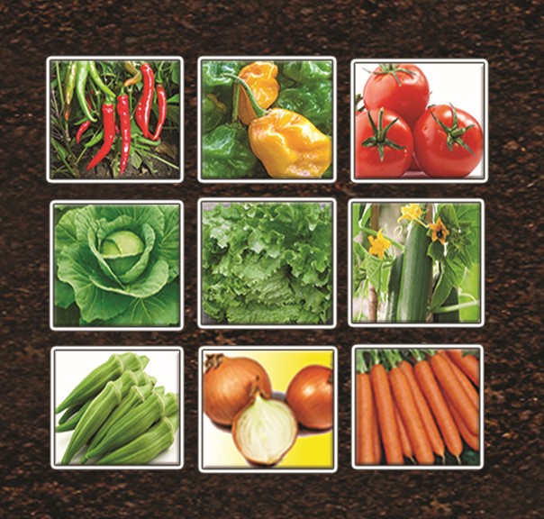 Engrais foliaire et racinaire Bio-organique BIODEPOSIT ELIXIR 12 ml ...