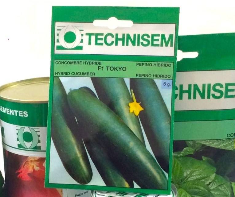 Semence hybride de CONCOMBRE F1 TOKYO 5 gr – TmBusiness