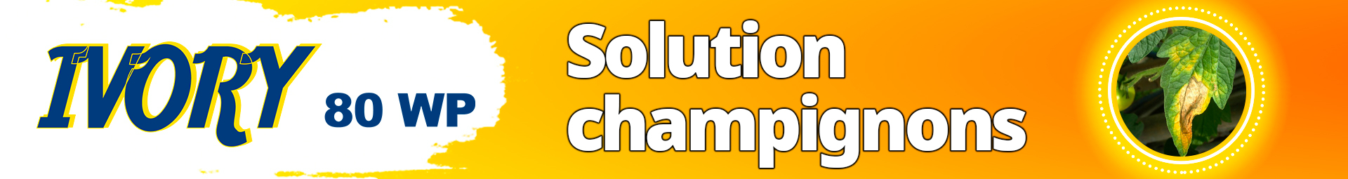 Fongicide granulé IVORY 80 WP 1 kg – Cultures maraichères – TmBusiness