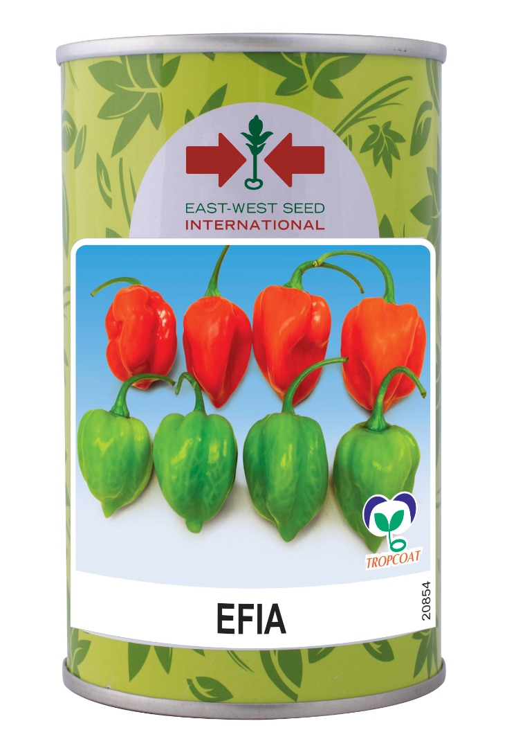 Semence de PIMENT EFIA 50 gr – TmBusiness