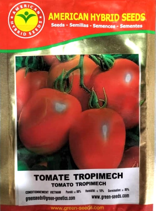 Semence de TOMATE TROPIMECH 10 gr AHS – TmBusiness