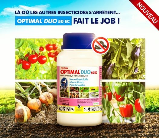 Insecticide liquide OPTIMAL DUO 50 EC 250 ml – Cultures maraichères – TmBusiness
