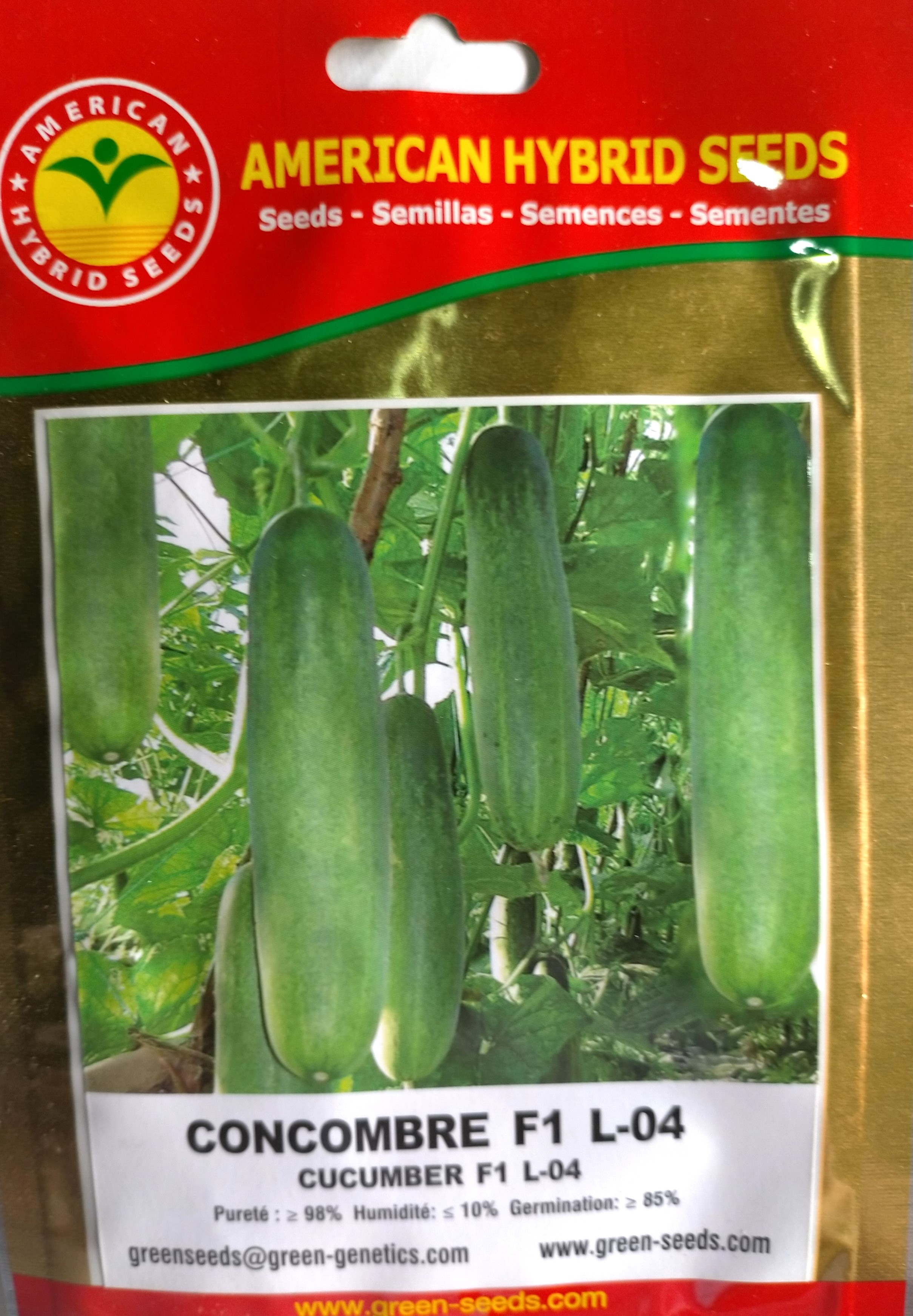 Semence hybride de CONCOMBRE HYBRIDE F1 L-04 1 gr – TmBusiness