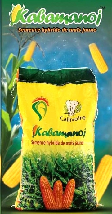 Semence hybride de maïs jaune KABAMANOJ F1 5 kg – TmBusiness