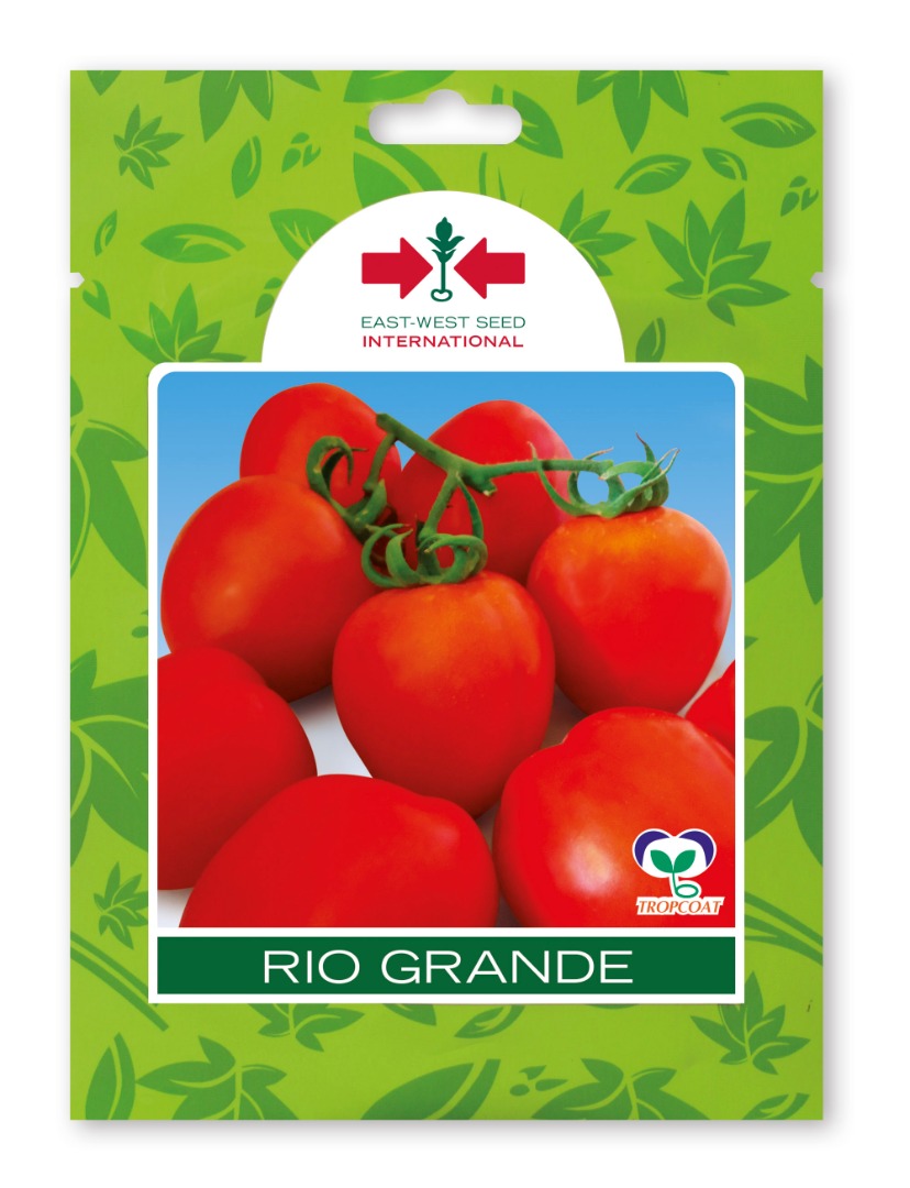 Semence de TOMATE RIO GRANDE 10 gr EWSI – TmBusiness