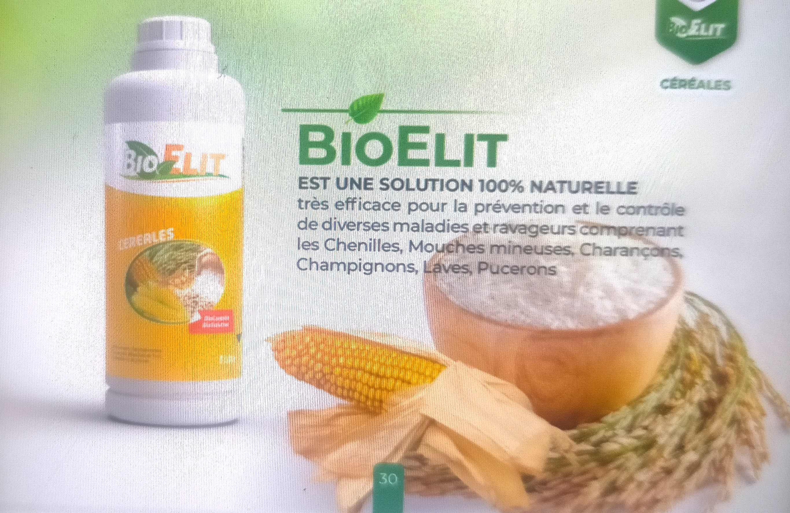 Insecticide liquide 100% Bio BIOELIT 1 litre – Sorgho, millet – TmBusiness
