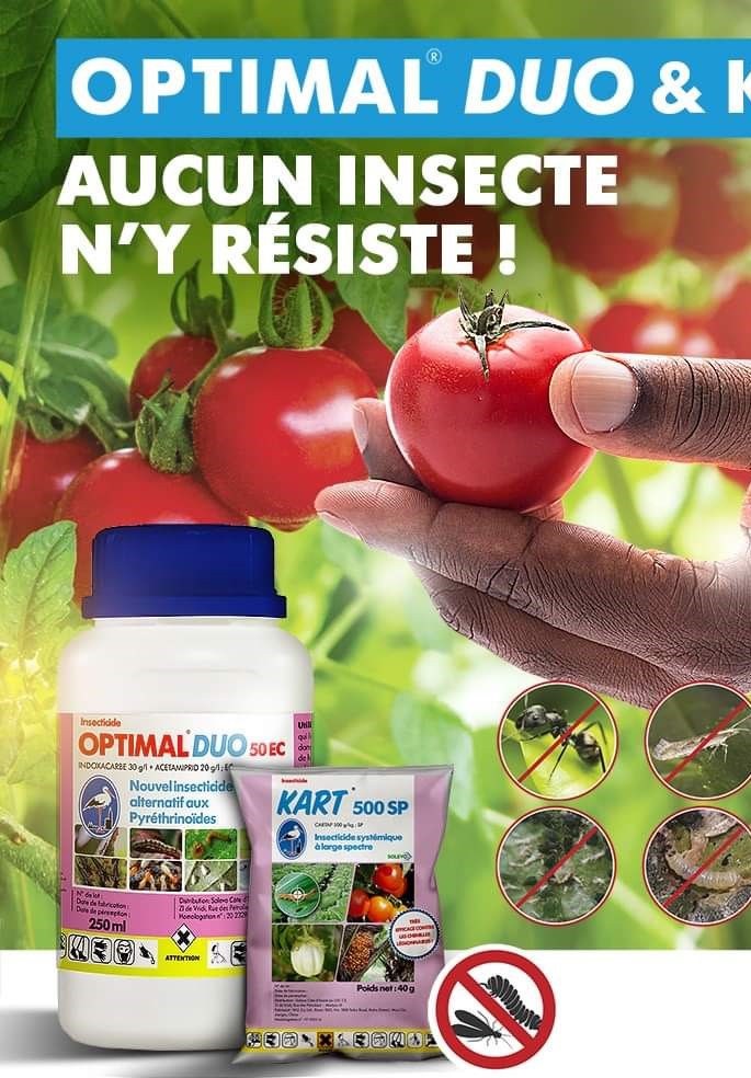 Insecticide liquide OPTIMAL DUO 50 EC 250 ml – Cultures maraichères – TmBusiness