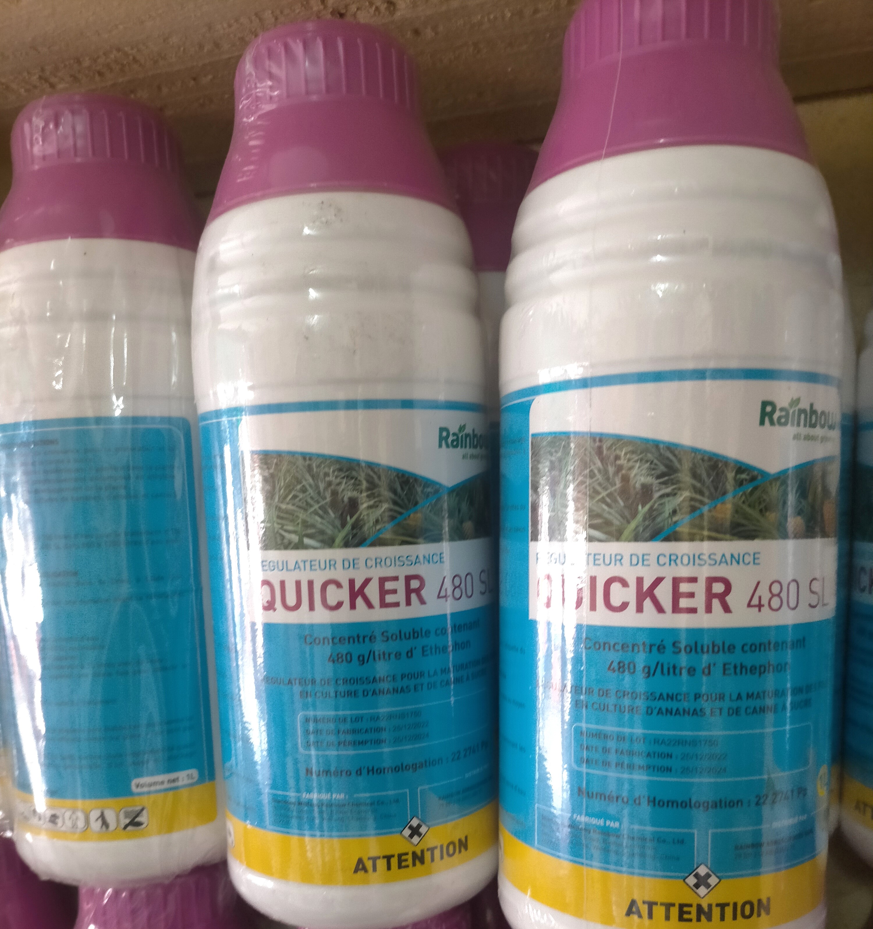 Régulateur de croissance liquide QUICKER 480 SL 1 litre – Ananas, canne ...