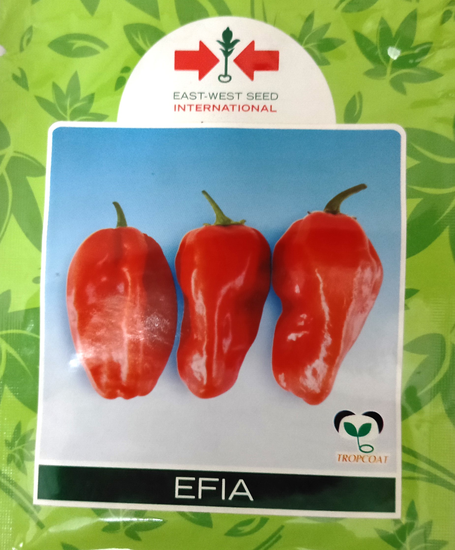 Semence de PIMENT EFIA 2,5 gr – TmBusiness