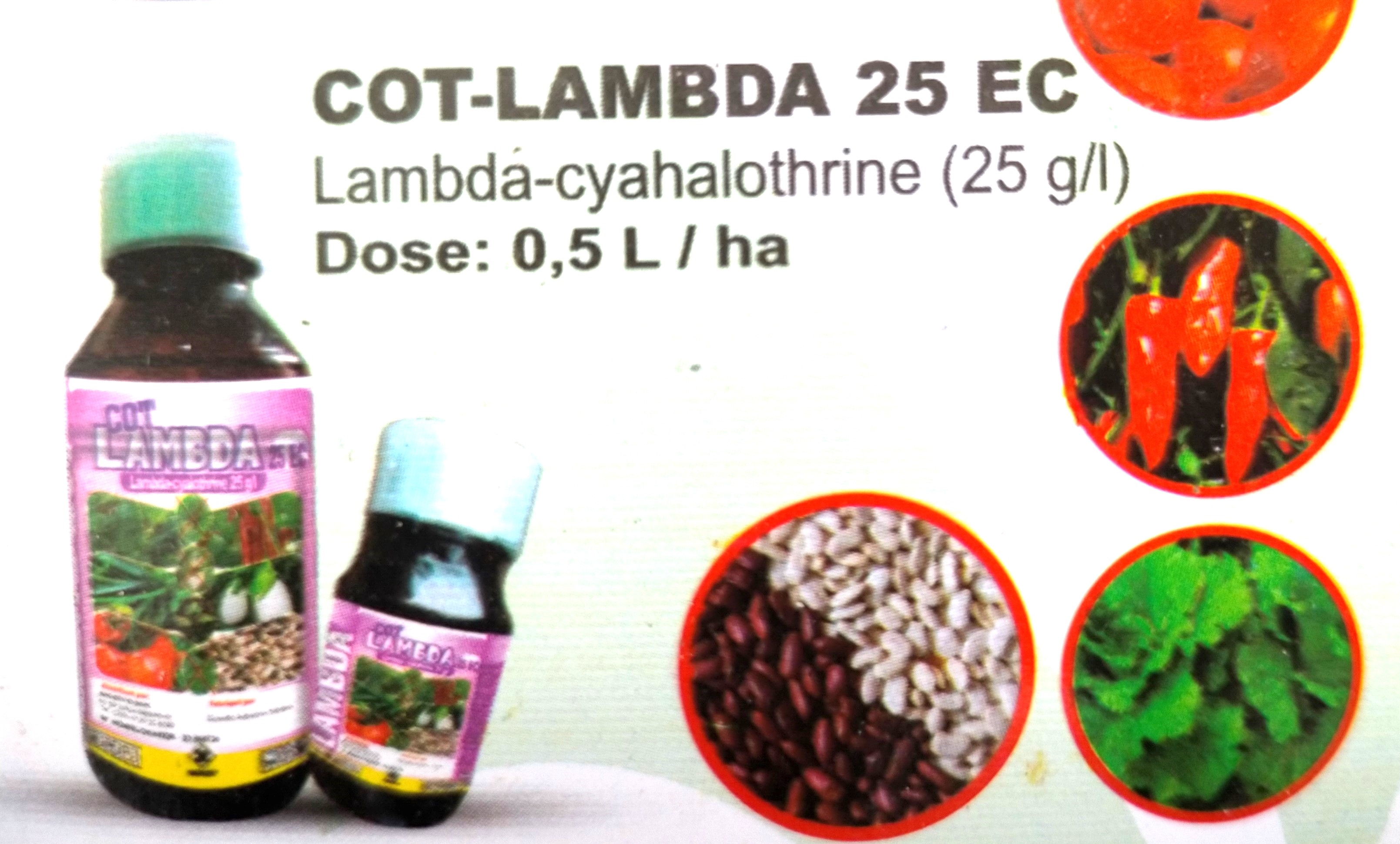 Insecticide liquide COT-LAMBDA 25 EC 1 litre – Cultures maraichères – TmBusiness