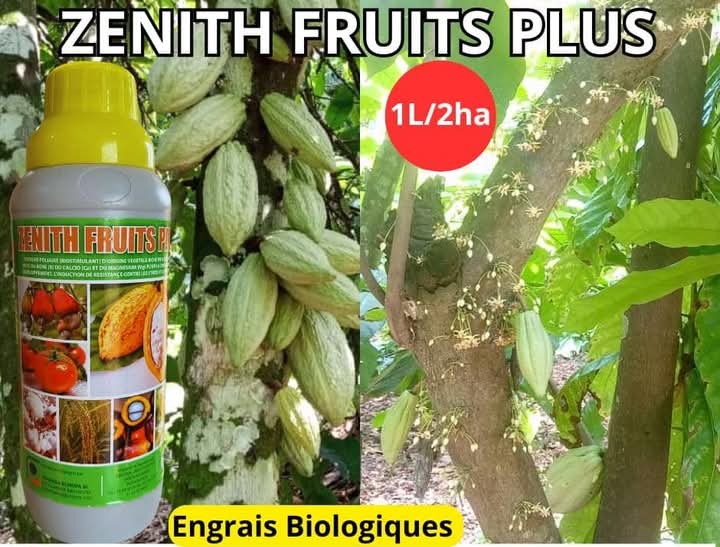Engrais foliaire biologique ZENITH FRUITS PLUS 1 litre – Cacao, palmier ...