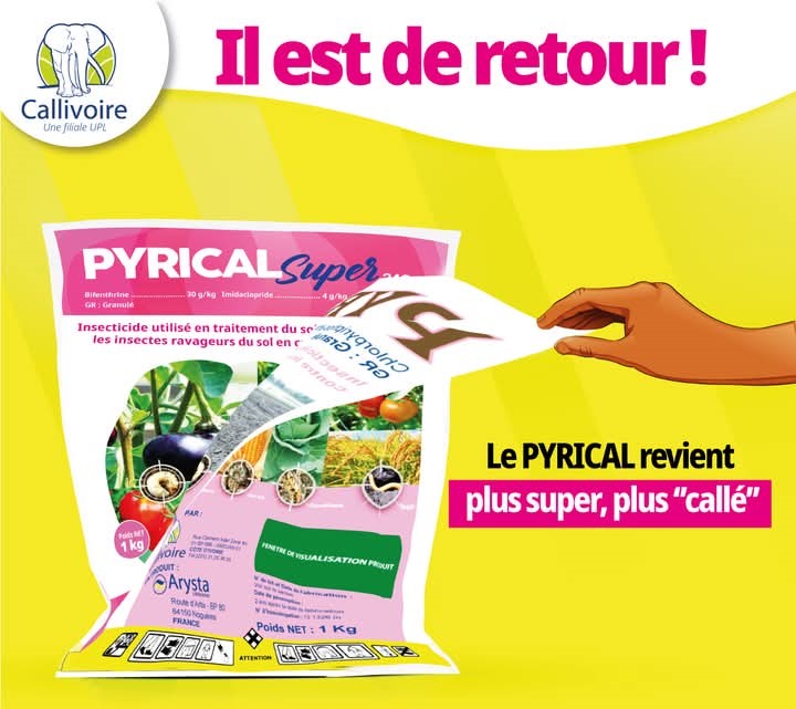 Insecticide granulé PYRICAL SUPER 34 GR 1 kg – Cultures maraichères ...