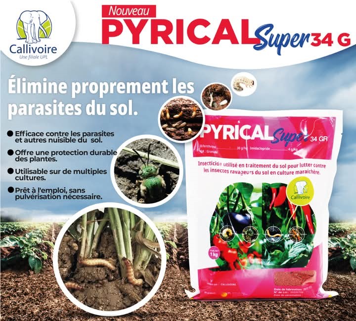 Insecticide granulé PYRICAL SUPER 34 GR 1 kg – Cultures maraichères ...
