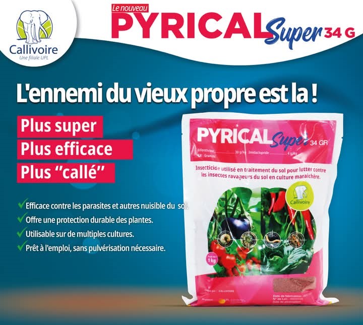 Insecticide granulé PYRICAL SUPER 34 GR 1 kg – Cultures maraichères ...