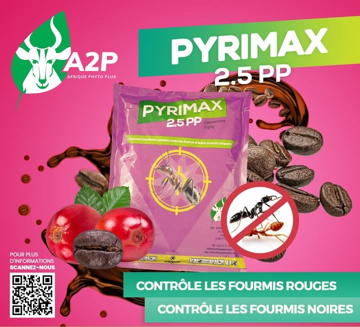 Insecticide granulé PYRIMAX 2.5 PP 1 kg – Café – TmBusiness