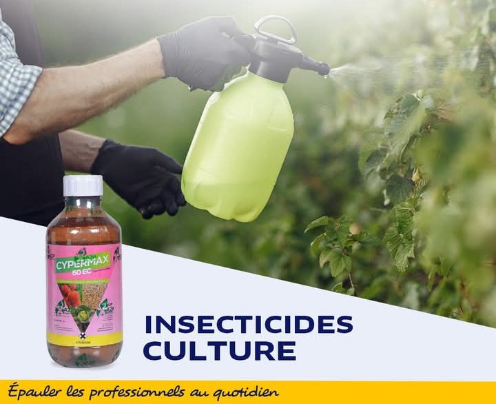 Insecticide liquide CYPERMAX 50 EC 1 litre – Cultures maraichères ...