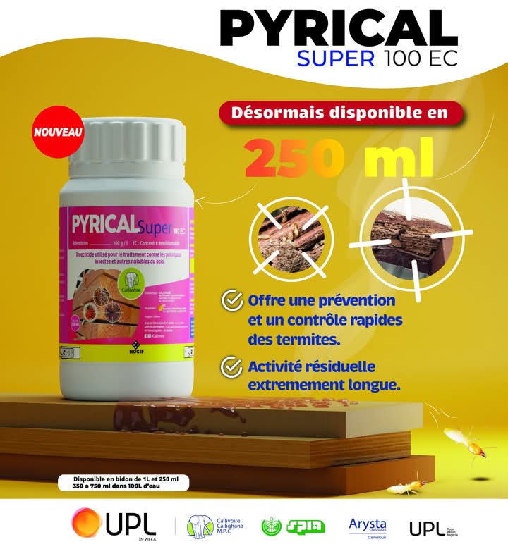 Insecticide liquide PYRICAL SUPER 100 EC 250 ml – Termites, insectes du ...