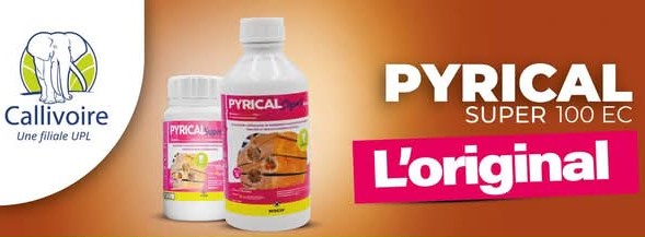 Insecticide liquide PYRICAL SUPER 100 EC 250 ml – Termites, insectes du ...