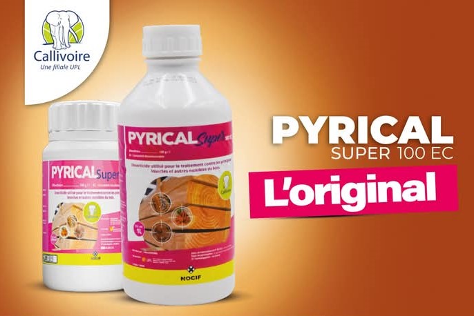 Insecticide liquide PYRICAL SUPER 100 EC 250 ml – Termites, insectes du ...