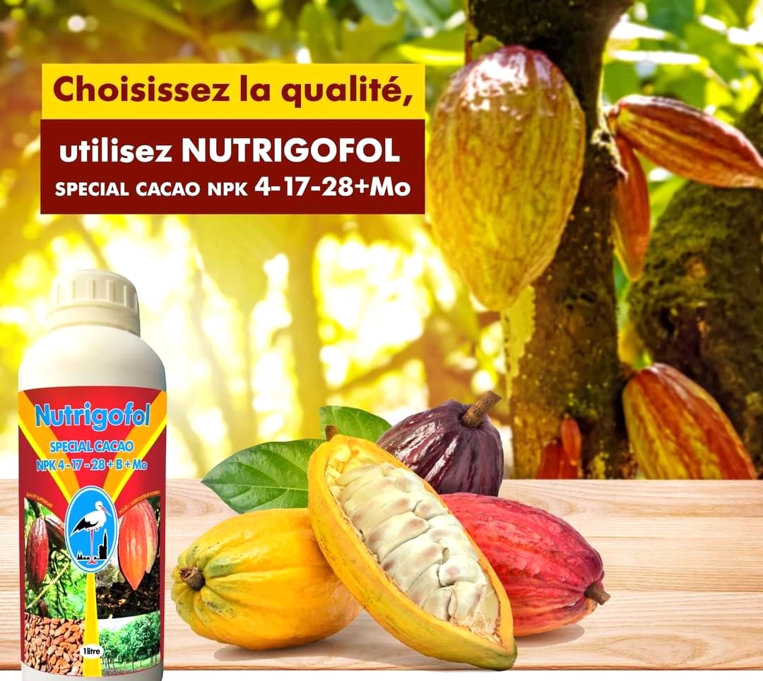 Engrais foliaire NUTRIGOFOL NPK 4-17-28 1 litre – Spécial cacao ...