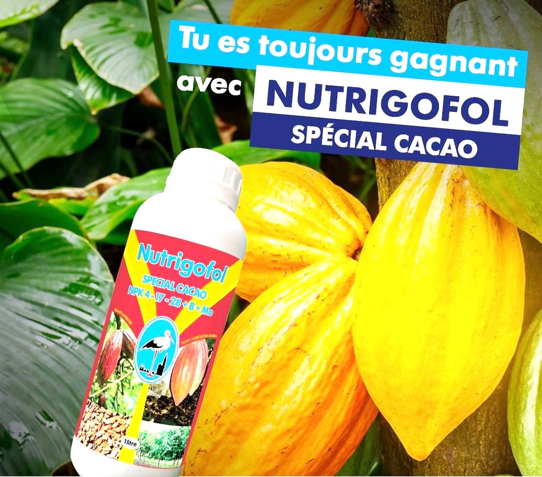 Engrais foliaire NUTRIGOFOL NPK 4-17-28 1 litre – Spécial cacao ...