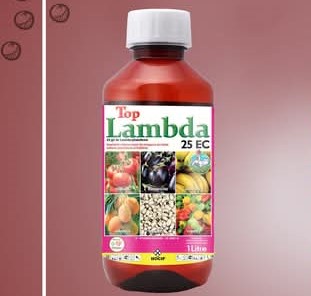 Insecticide liquide TOPLAMBDA 25 EC 1 litre – Cultures maraichères – TmBusiness