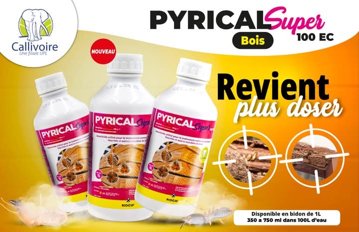 Insecticide liquide PYRICAL SUPER 100 EC 1 litre – Termites, insectes ...
