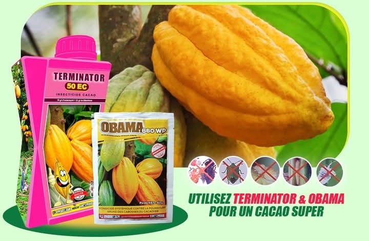 Insecticide liquide TERMINATOR 50 EC 1,5 litre – Spécial cacao – TmBusiness