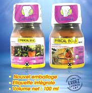 Insecticide liquide PYRICAL BOIS 480 EC 100 ml – Termites de bois et ...