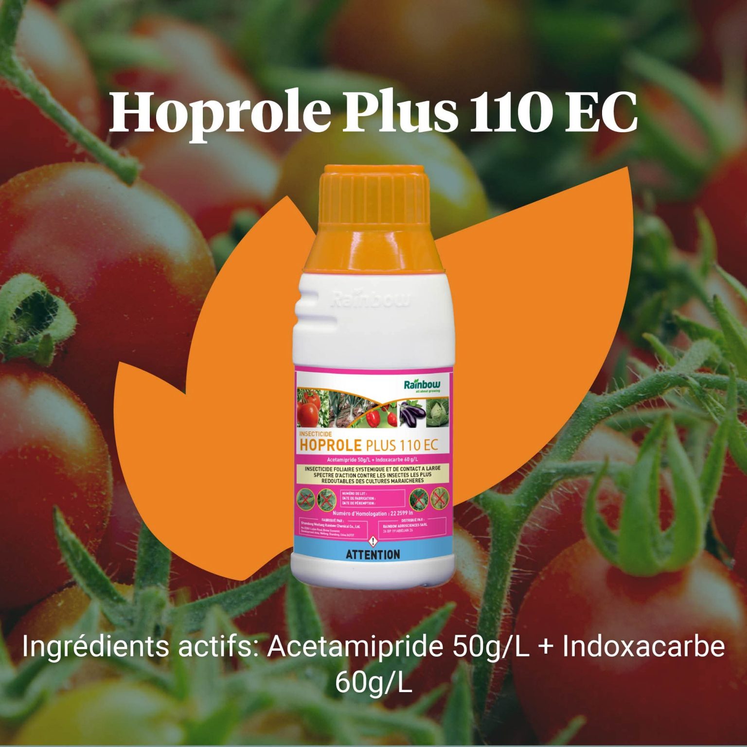 Insecticide liquide HOPROLE PLUS 110 EC 1 litre – Cultures maraichères ...