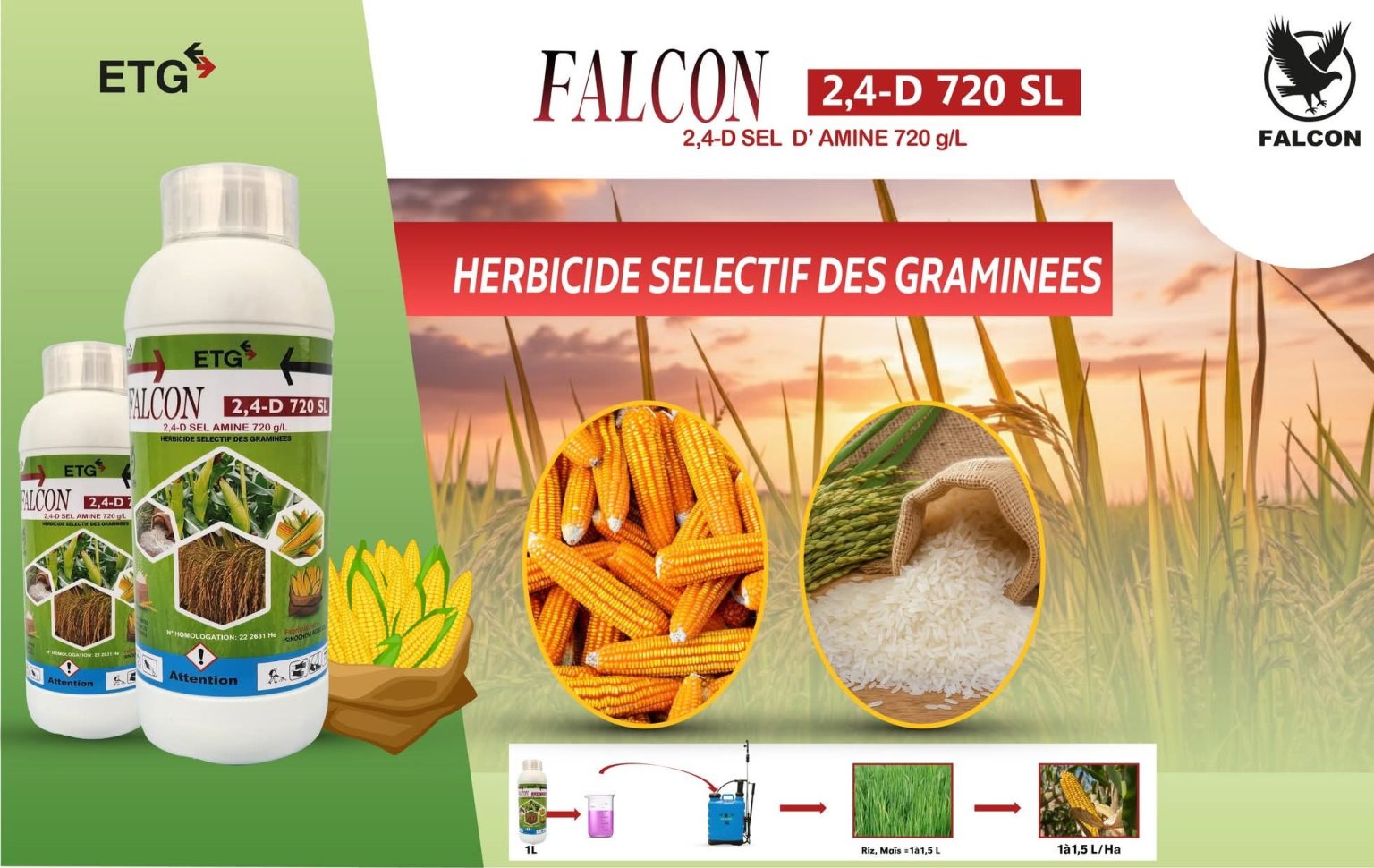 Herbicide liquide sélectif FALCON 2,4-D 720 SL 1 litre – Maïs, riz ...